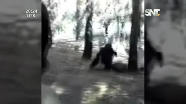 Pombero: El señor de la noche - SNT