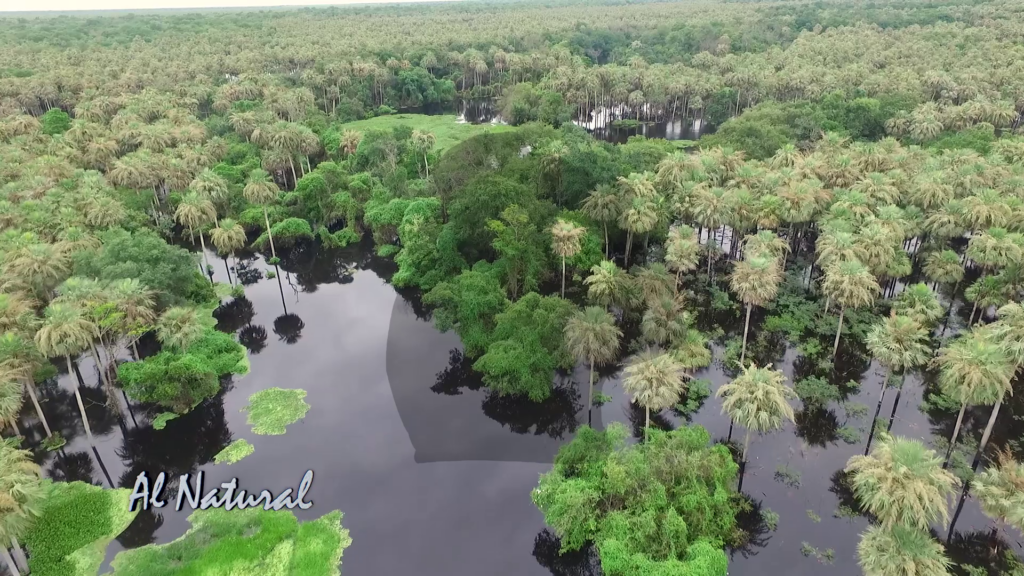 Al Natural: Explorando la Majestuosa Biodiversidad del Chaco Húmedo - SNT