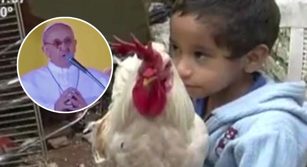 La historia de Ángel y el gallo Felipe: un gesto que conmovió a todo ...