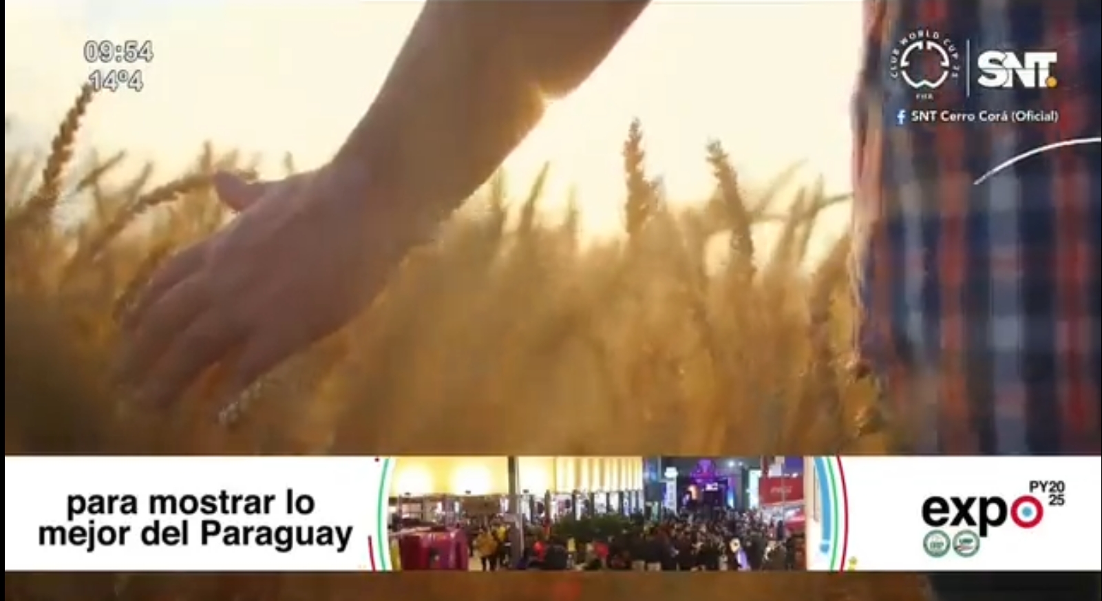 Expo PY 2025 arranca este 12 de julio con lo mejor del país - SNT